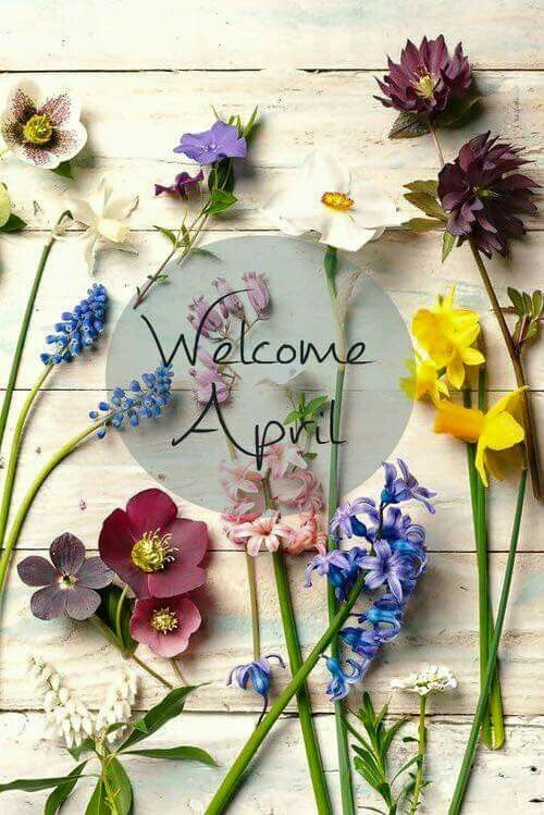 Welcome April – A Thomas Point of View